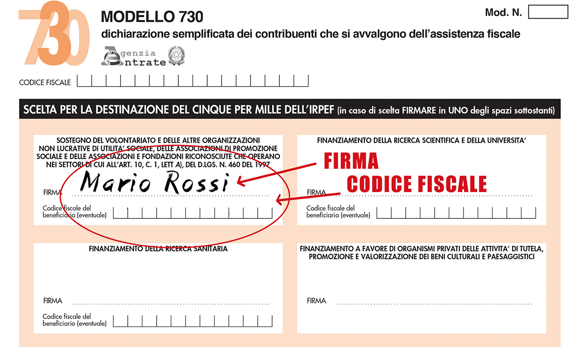 24zampe Destinare Il 5 Per Mille Agli Animali Come Fare Le Cose Da